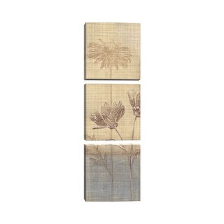 iCanvas "Botanical Sketchbook III" by Tandi Venter 3-Piece Canvas Wall ...