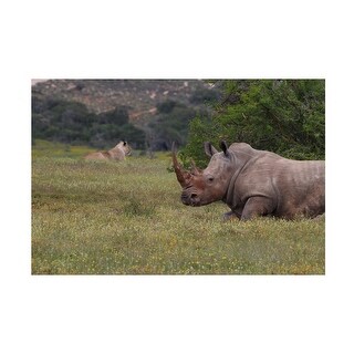 Bob Langrish 'White Rhinoceros 4' Canvas Art - Bed Bath & Beyond - 39537838
