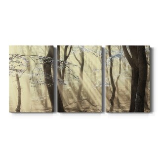 Forest Dimensions- Premium Gallery Wrapped Canvas - Ready to Hang - Bed ...