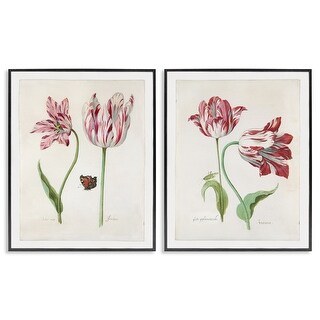 Stupell Vintage Tulip & Insect Studies Framed Giclee Art Design By ...