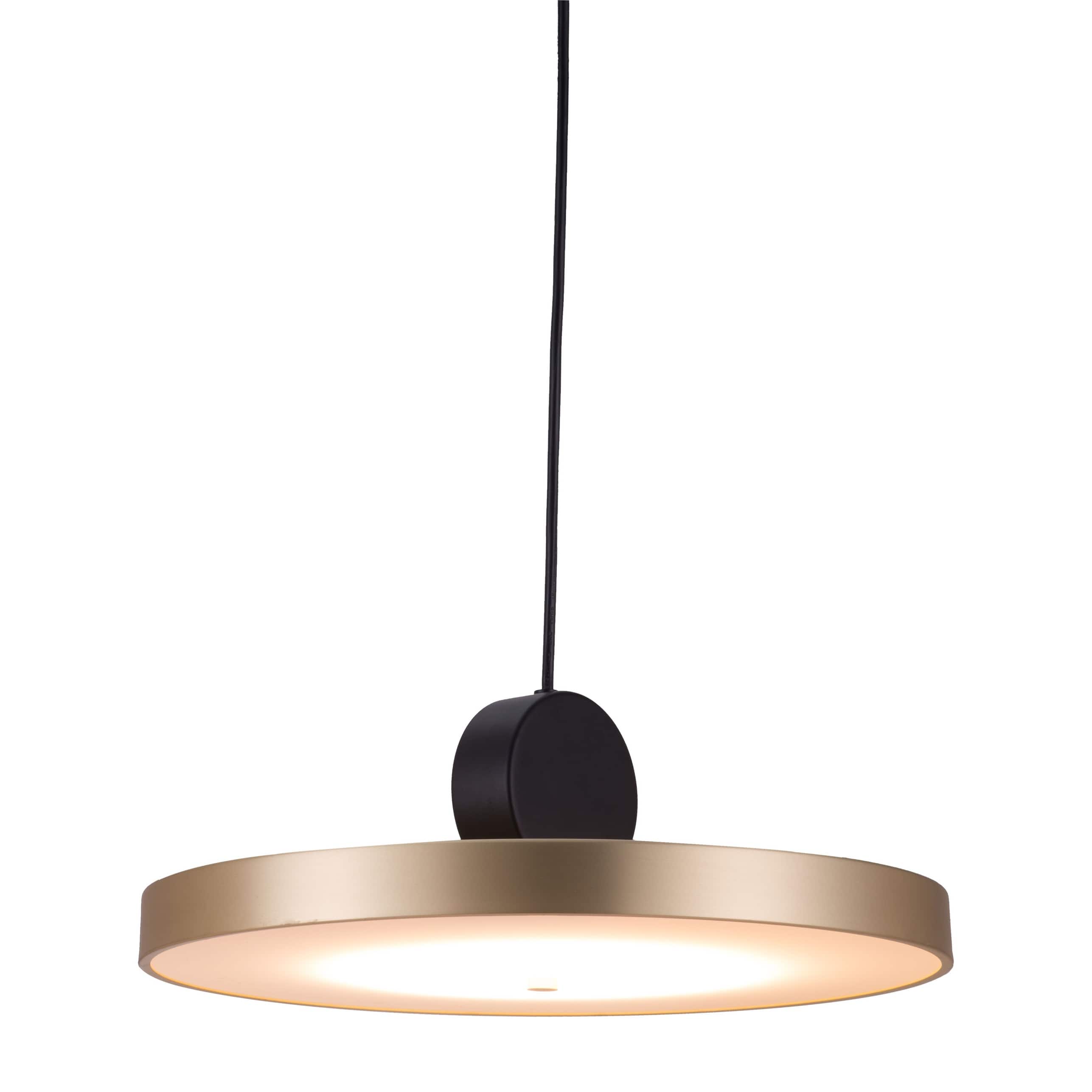 Aubrey Meadow Ceiling Lamp Gold & Black - Bed Bath & Beyond - 33325448