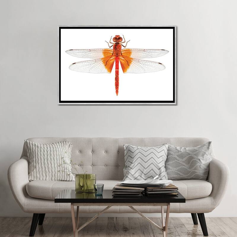 iCanvas "Scarlet Dragonfly Species Crocothemis Erythraea" by Paul ...