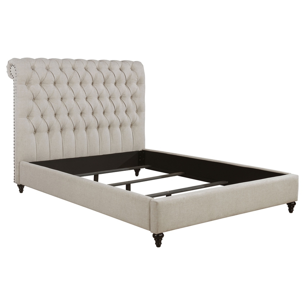 Full Size Beds - Bed Bath & Beyond