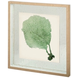 Custom Sea Fan II Framed Art Print - Bed Bath & Beyond - 39196825