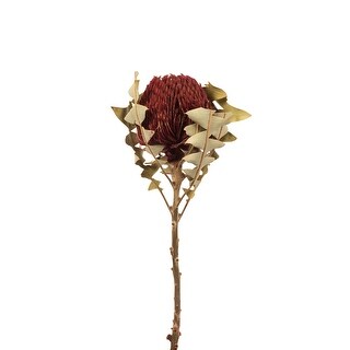 Vickerman 12" Red Baxteri (Banksia) Flower with Stem. Includes 3 Stems ...