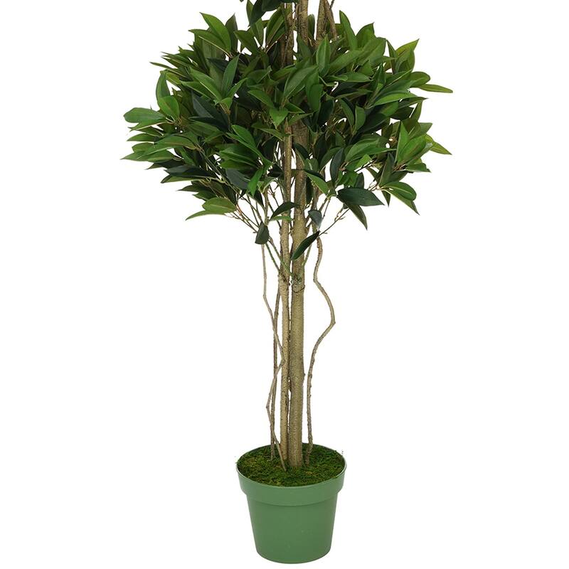 Faux 5ft Shikiba Topiary - Overstock - 36235768
