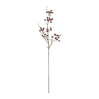 Variegated Berry Pod Spray (Set of 12) - Bed Bath & Beyond - 38392364