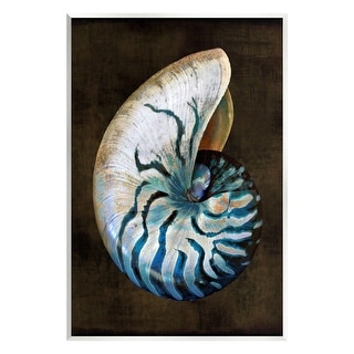 Stupell Modern Marine Shell Wall Plaque Art Design by Caroline Kelly ...