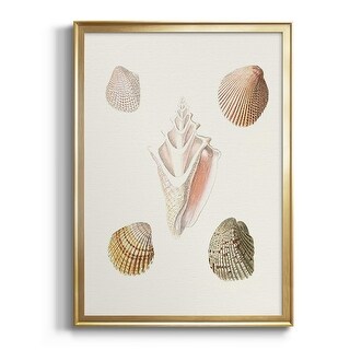 Pastel Knorr Shells IX Premium Framed Print - Ready to Hang - Bed Bath ...