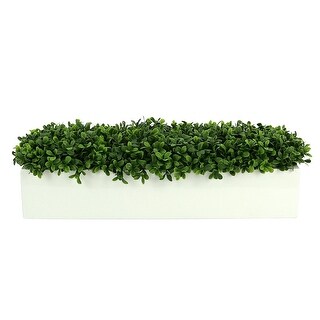 UV Rated Outdoor Boxwoods Arranged in a Rectangular Planter - Bed Bath ...