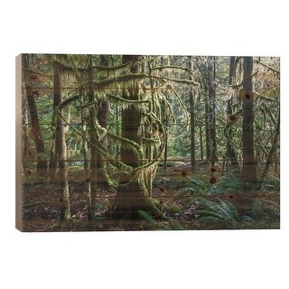 Rainforest, Vancouver, Canada Print On Wood by Matteo Colombo - Multi ...