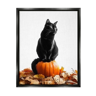 Stupell Black Cat & Pumpkin Framed Floater Canvas Wall Art Design by ...