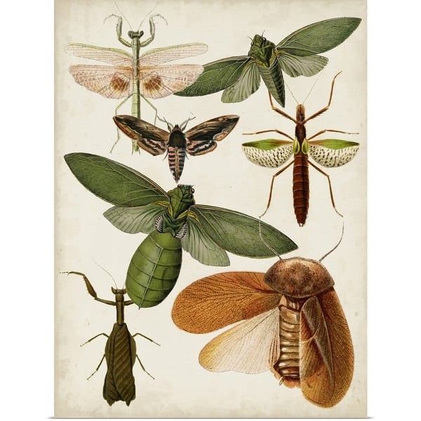 "Flying Bugs" Poster Print - Bed Bath & Beyond - 31480136