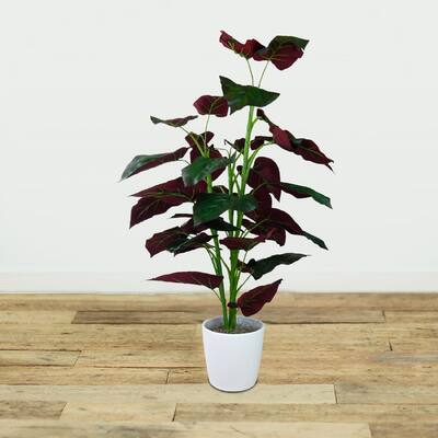 3ft tropical elephant ear tree in ceramic pot - Overstock - 31297130