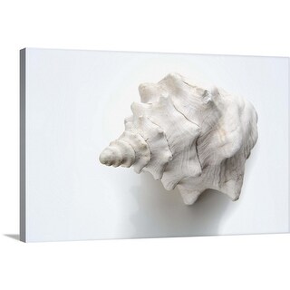 "White conch shell" Canvas Wall Art - Bed Bath & Beyond - 16490404