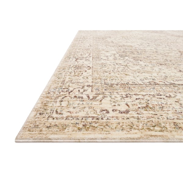Alexander Home Austen Antique Washed Traditional Area Rug - On Sale ...