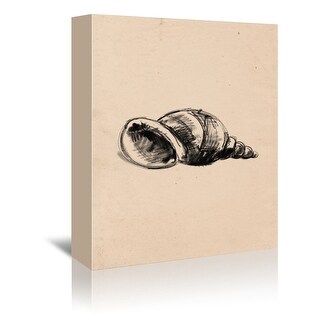 Americanflat - 8" x 10" Illustrated Sea Shell 1 by Jetty Home Wrapped ...