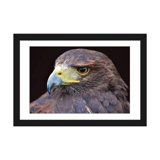 iCanvas "Harris Hawk In Shadow" by Michael Fitzsimmons PFA - Bed Bath ...