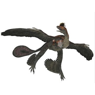 Microraptor Was A Flying Dinosaur Reptile And Lived In And Mongolia In ...