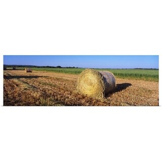 "Round Bales of Hay TX" Poster Print - Multi - Bed Bath & Beyond - 16855870