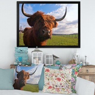 Designart "Portrait of A Yak" Farmhouse Framed Art Print - Bed Bath ...