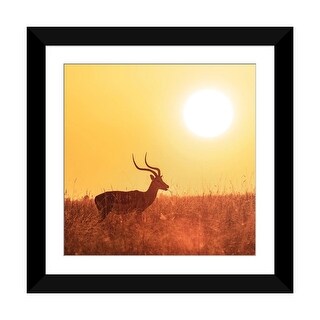 iCanvas "Impala Grazing At Sunrise, Masai Mara" by Jane Rix PFA - Bed ...
