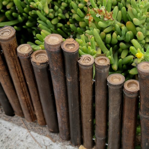 bamboo border edging