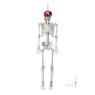 5.4ft Full Body Skeleton Props with Movable Joints for Halloween Party ...