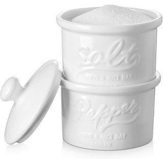 Ceramic Salt Keeper Container with Lid - Bed Bath & Beyond - 40952246