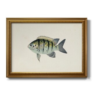 Tropical Fish Collection VI Premium Framed Canvas- Ready to Hang - Bed ...