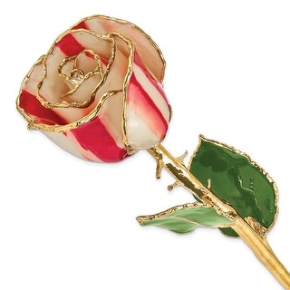 Curata Lacquer Dipped Gold Trimmed Peppermint Real Rose - Bed Bath ...