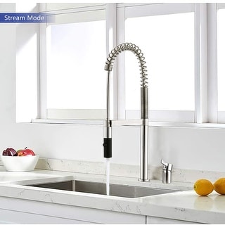 Low Lead Sprayer Spring Kitchen Sink Faucet - Bed Bath & Beyond - 34076355