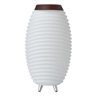 Synergy 50 Lamp, Cordless rechargeable indoor/outdoor speaker Lamp ...