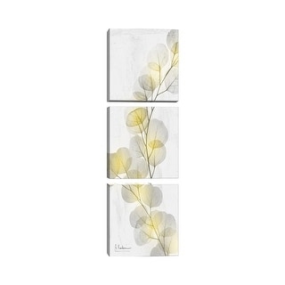 iCanvas "Eucalyptus Sunshine II" by Albert Koetsier 3-Piece Canvas Wall ...
