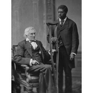 Alexander Hamilton Stephens History - Bed Bath & Beyond - 24416321