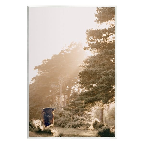 Stupell Rural County Cattle Field Sunlit Rays Wall Plaque, Design By ...