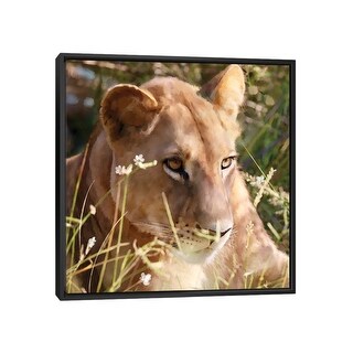 iCanvas "Huntress In The Grass" by Thomas Little Framed - Bed Bath ...