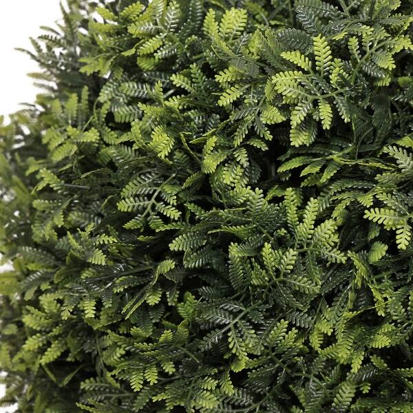 shrubs for topiary