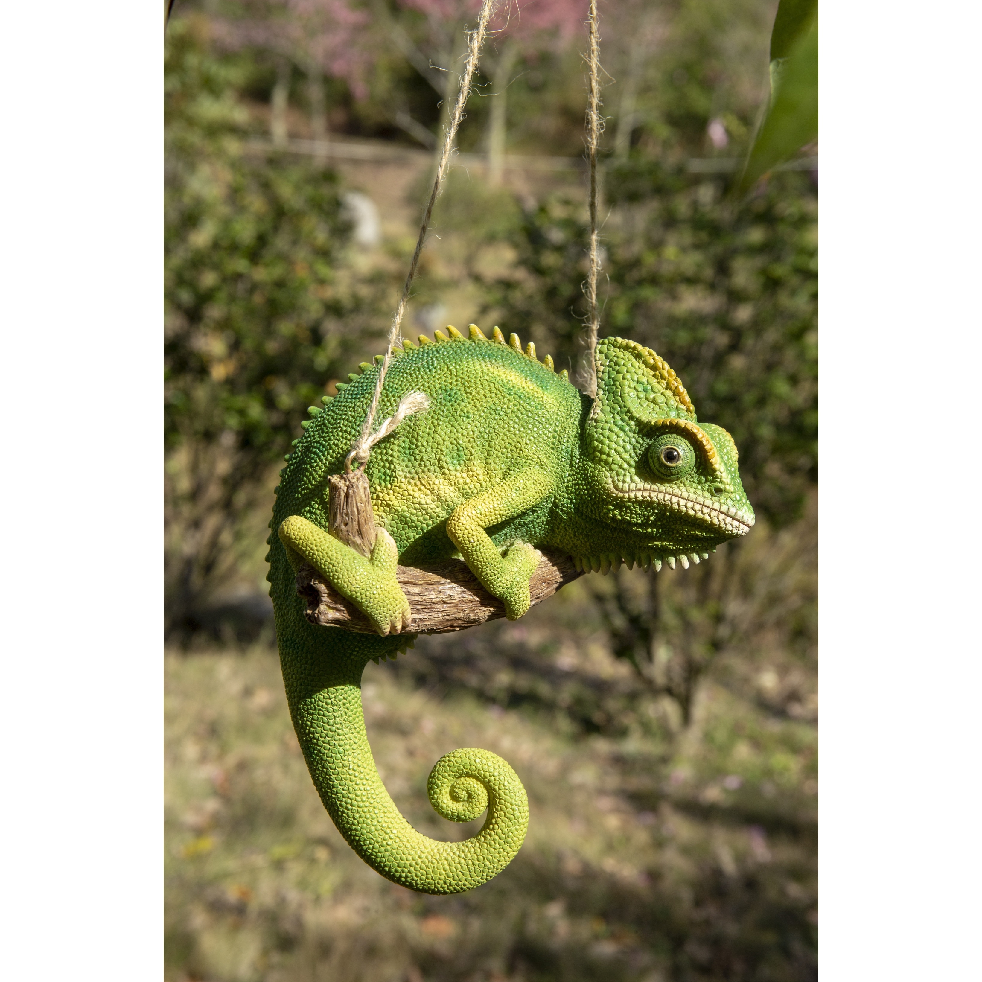 chameleon gift