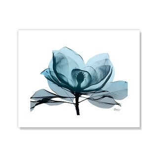 Midnight Magnolia II - Blue - Bed Bath & Beyond - 29818534