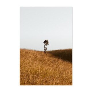 Solo tree Photography Grassland Landscape Nature Art Print/Poster - Bed ...