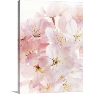 "Bouquet of pink cherry blossoms" Canvas Wall Art - Bed Bath & Beyond ...