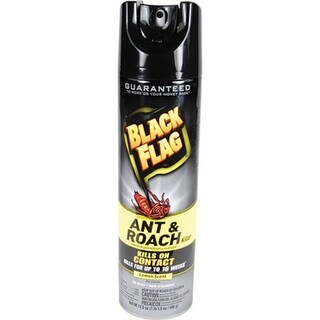 Black Flag Insect Spray Diversion Safe - As Pictured - Bed Bath ...