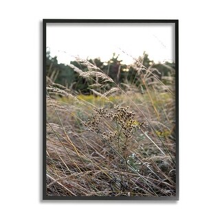 Stupell Countryside Meadow Blooming Reeds Tall Grass Buds Framed Wall ...