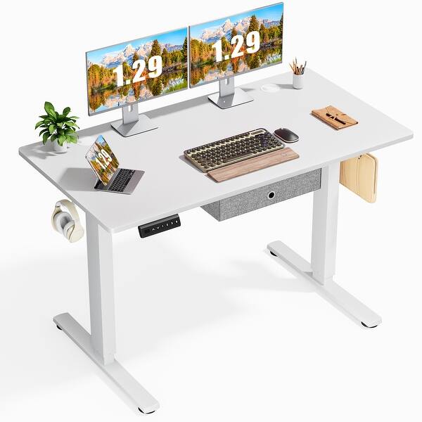 Electric Standing Desk with Drawer Adjustable Desk Ergonomic Rising ...