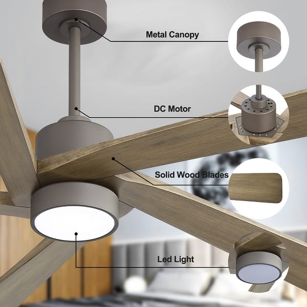 WINGBO 64 Inch DC Ceiling Fan with Lights and Remote Control, 5 ...