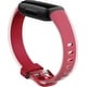Fitbit Inspire 3 Translucent Bands Chili Pepper Large - Bed Bath ...