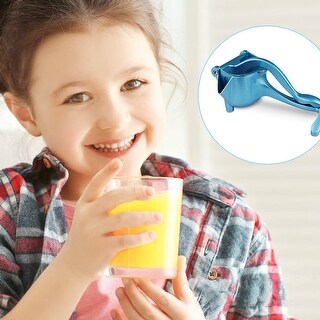 Heavy Duty Juicer, Metal Aluminum Alloy Squeezer for Fruit - Bed Bath ...