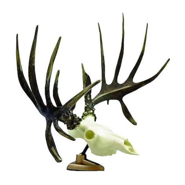 Raxx Big Rack Whitetail Deer Skull Antlers Trophy Mount Base Dashboard ...