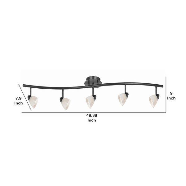 5 Light 120V Metal Track Light Fixture with Glass Shade, Black and ...